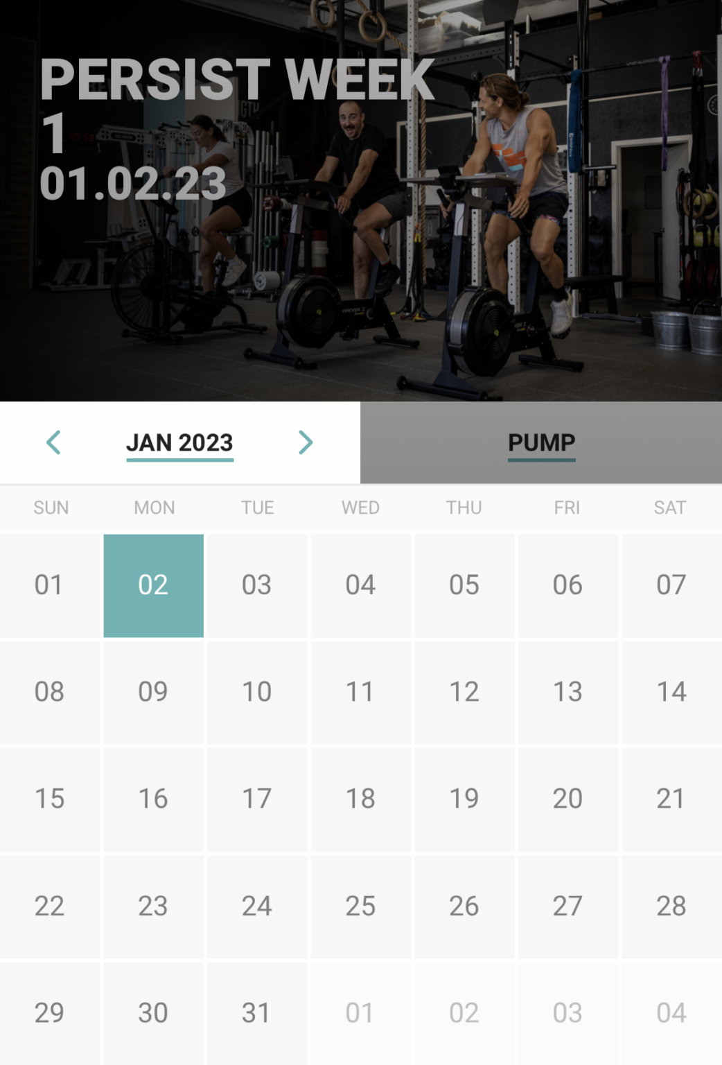 Persist 2023 Road Map - Functional Bodybuilding